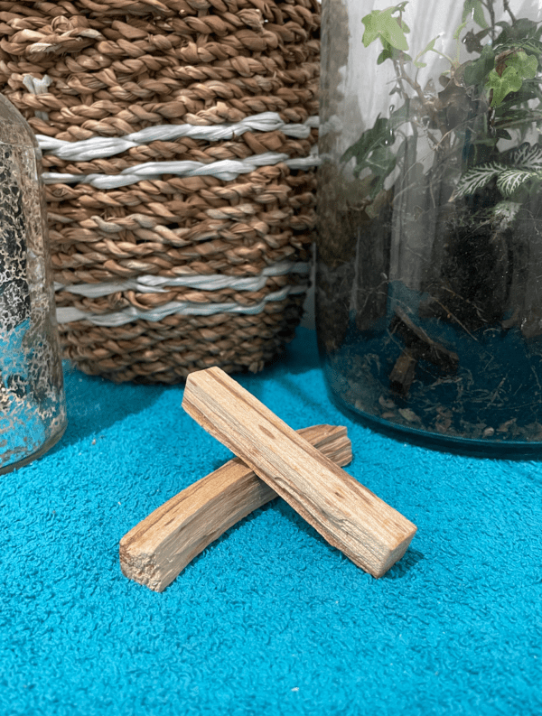 Palo Santo | The Float Spa
